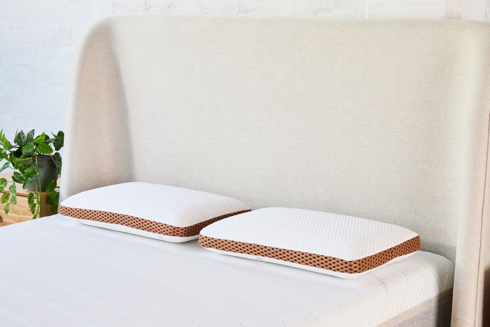 Insignia Chiro Synergy Pillow - High Profile | Bedshed